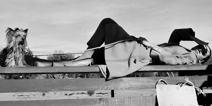 Inge Morath in der Versicherungskammer Kulturstiftung